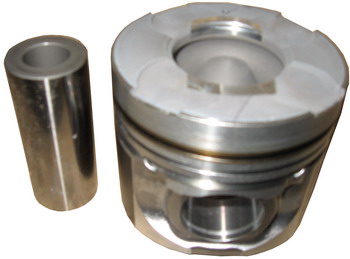 PISTON & PIN ASSY 1.0
